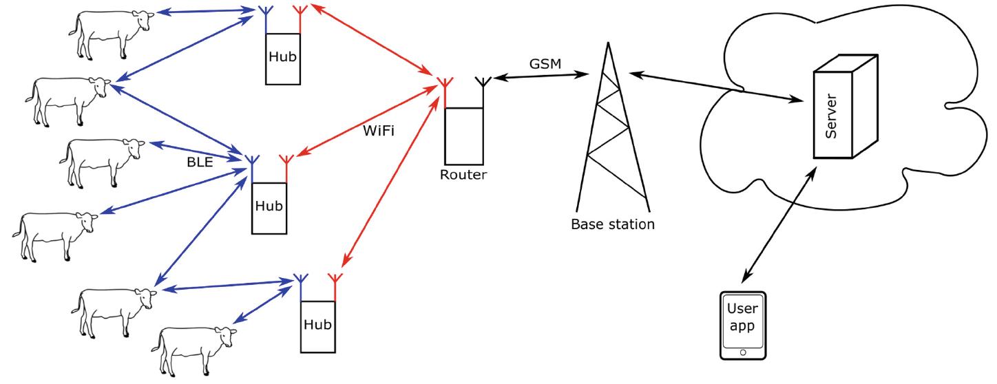 Architecture of iot-based cow health monitoring system.