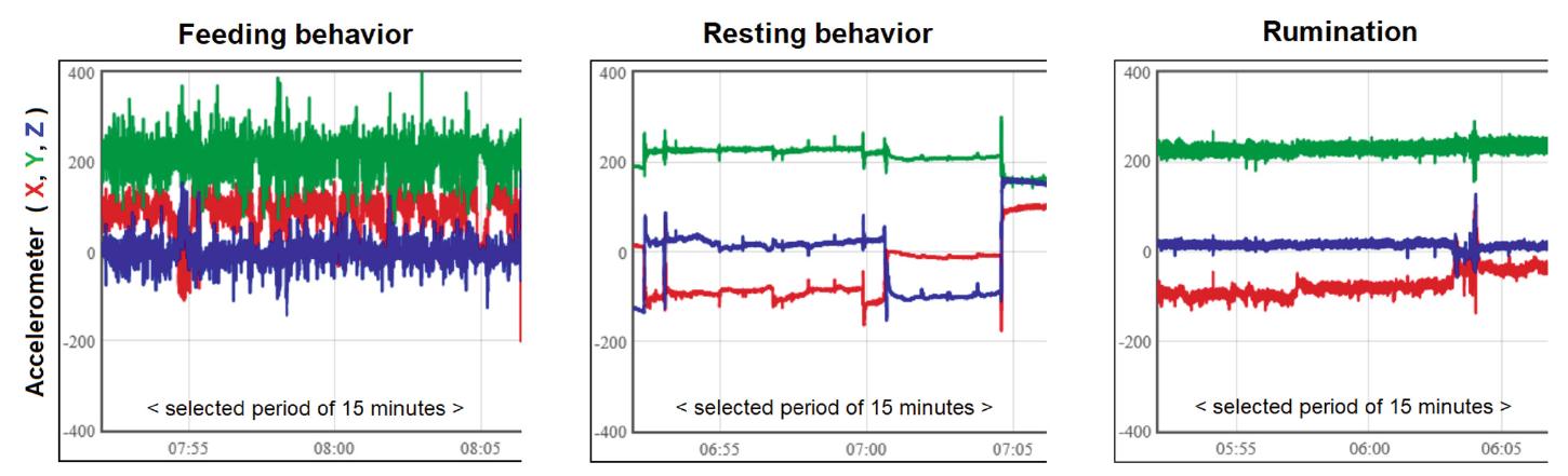 Figure 6 - IoT-Based Cow Health Monitoring System
