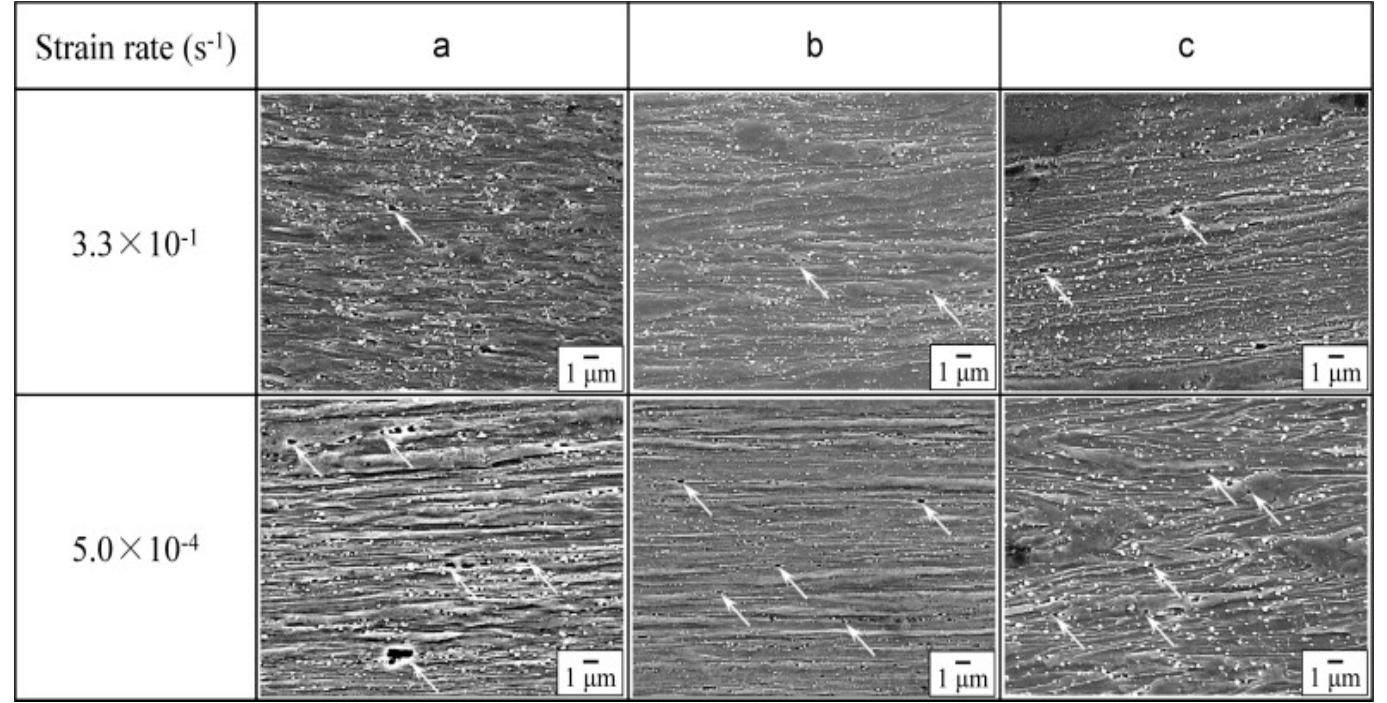 Sem images of the cross-sectional planes of the fc steel