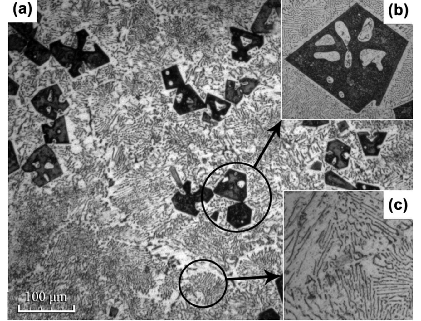 (a) a typical microstructure of as cast al-15%mg.si