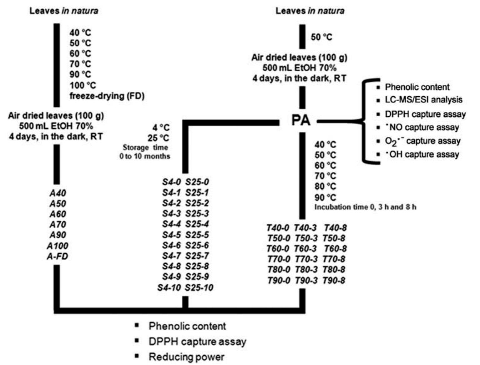 Schematic of the procedures for the stability assay. for
