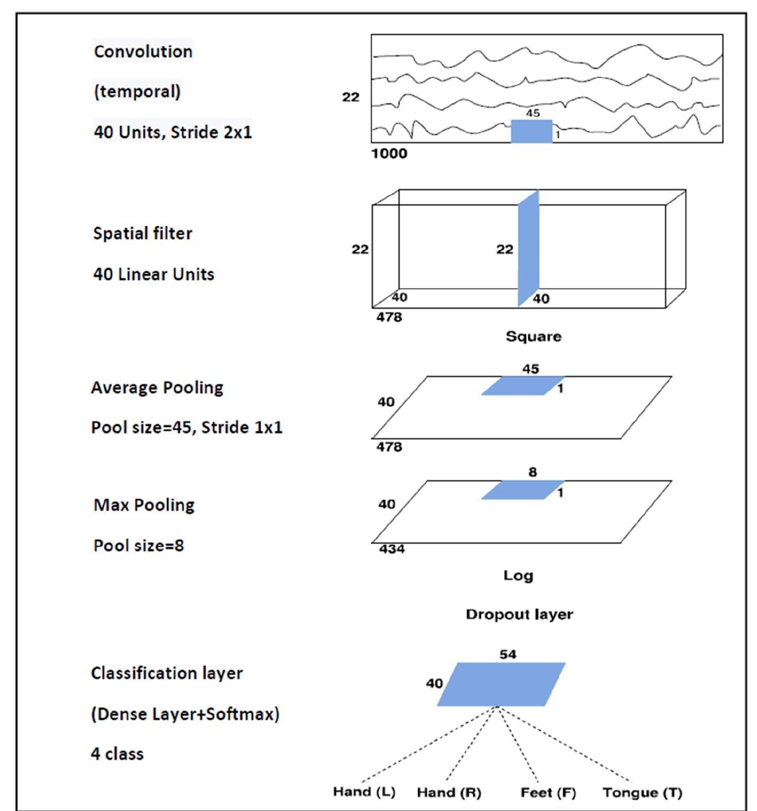 The shallow convolutional network architecture proposed for