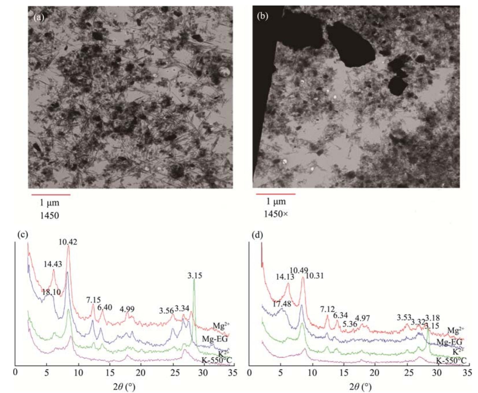Tem (transmission electron microscope) images of clay in (a)