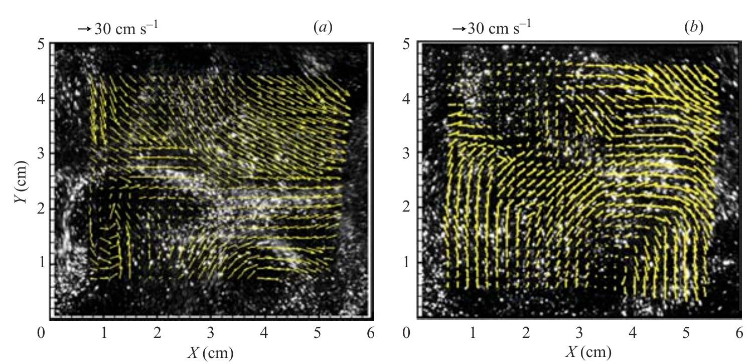 Ficure 14. the instantaneous particle velocity map