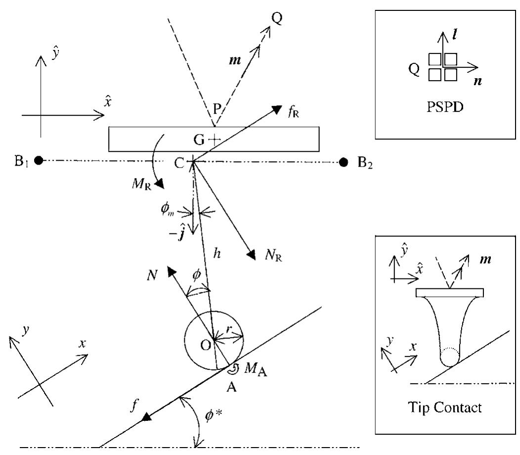 Free body diagram of an afm cantilever-tip assembly on a