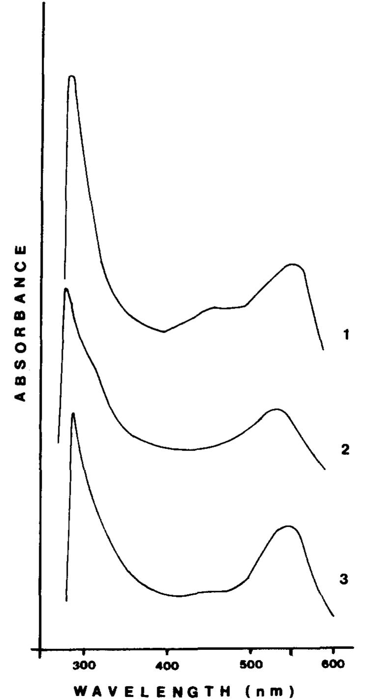 Uv/vis absorption spectra of anthocyanidin solutions