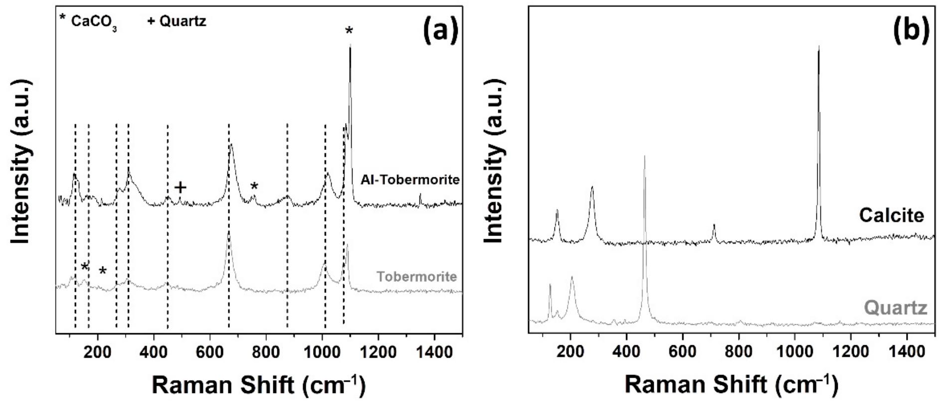 Raman spectra of the phases detected in the gmw-fa-cr