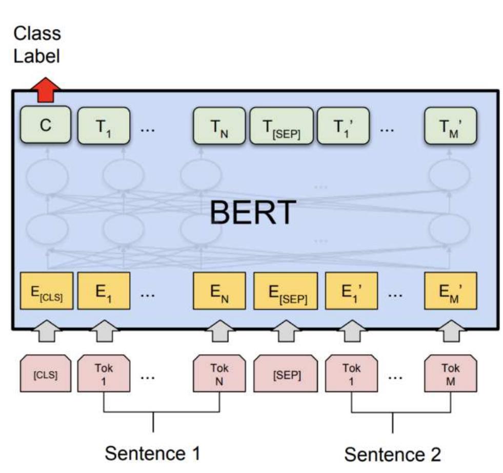 Document classification model formed by incorporating bert