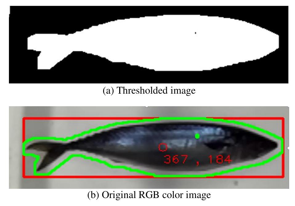 The results of segmenting fish objects using the lowes