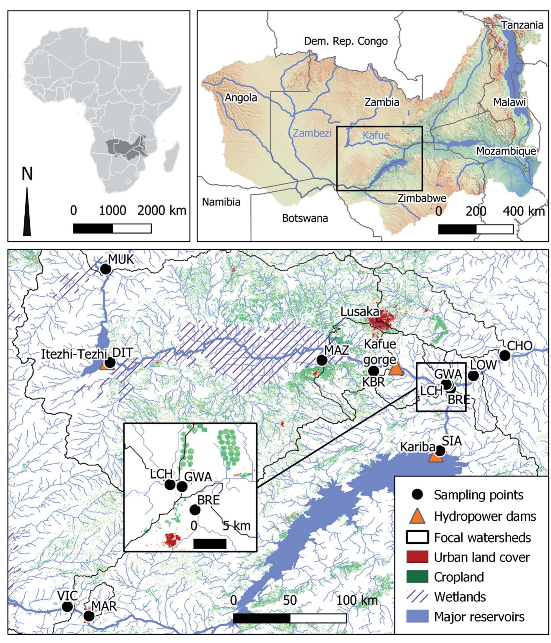 Maps of zambezi basin and sampling points on the kafue and