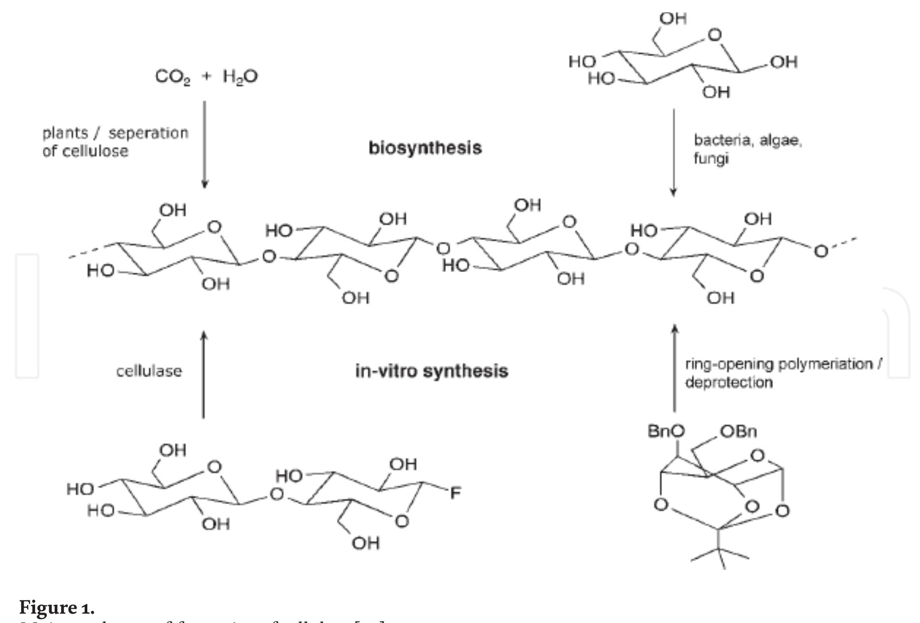 An update on overview of cellulose, its structure and