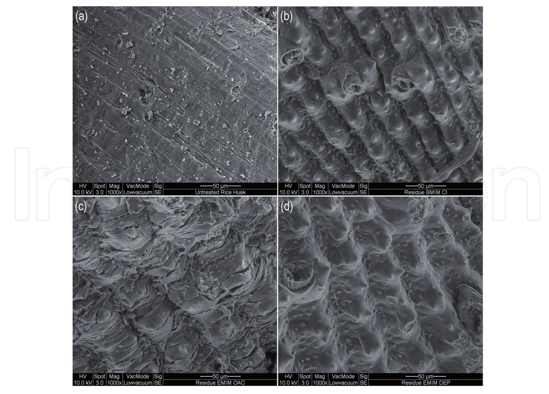An update on overview of cellulose, its structure and