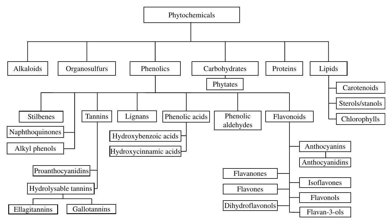 Organisation of phytochemical classes. the assay reagent