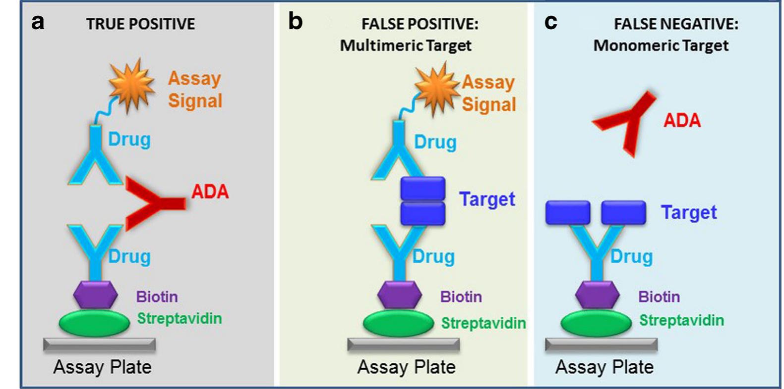 Interference of drug target in a bridging ada assay. (a) a