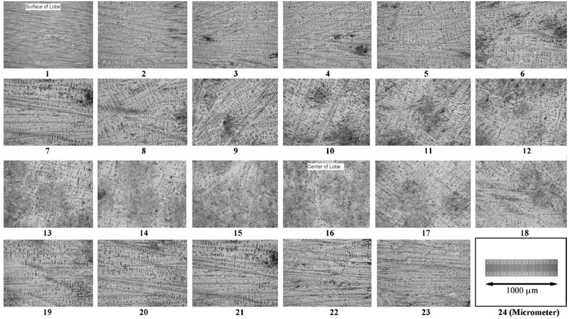 Microstructure pictures of lobe 1. taneously reduced to cu°