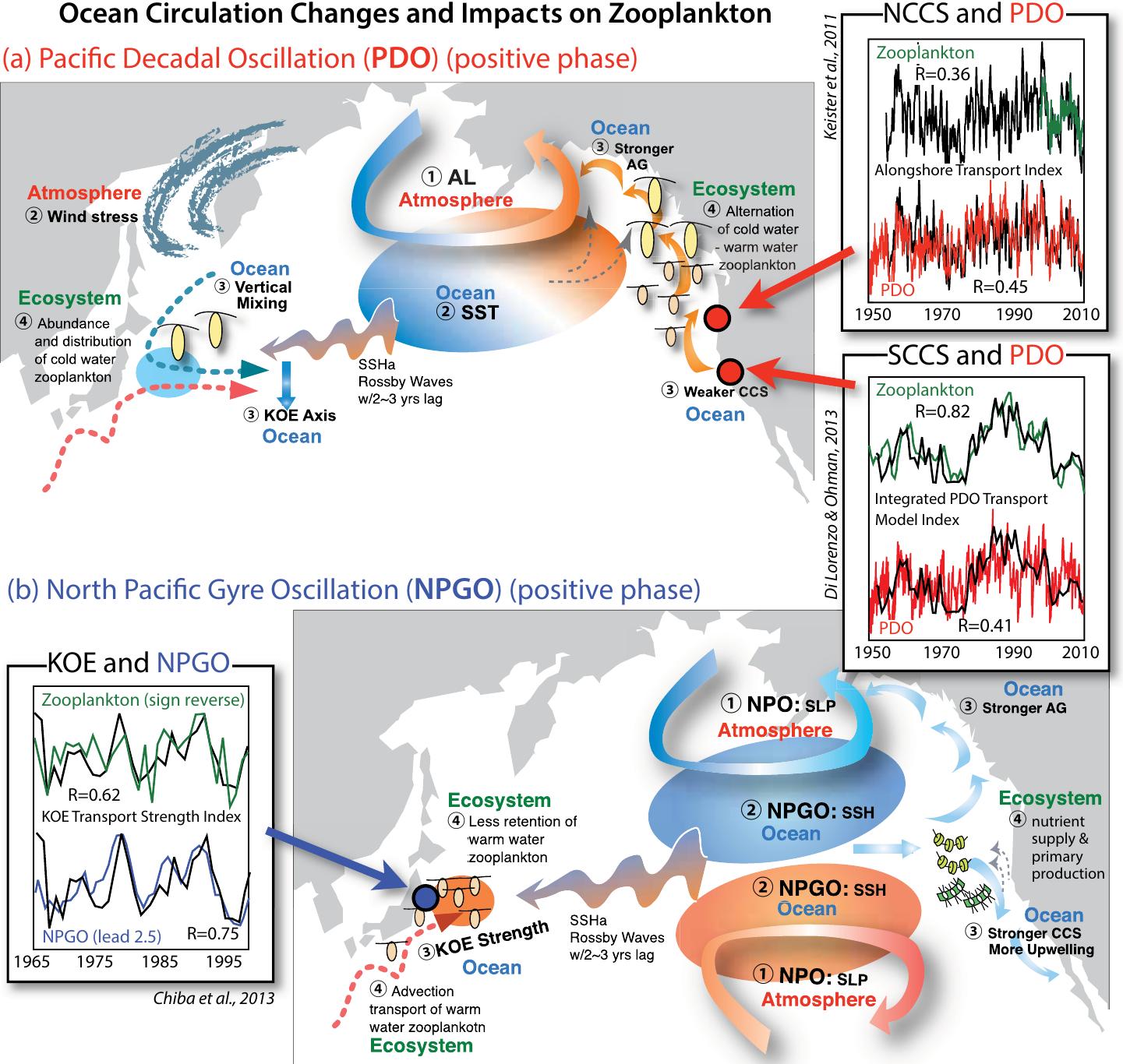Regional transport processes. schematic of ocean transport