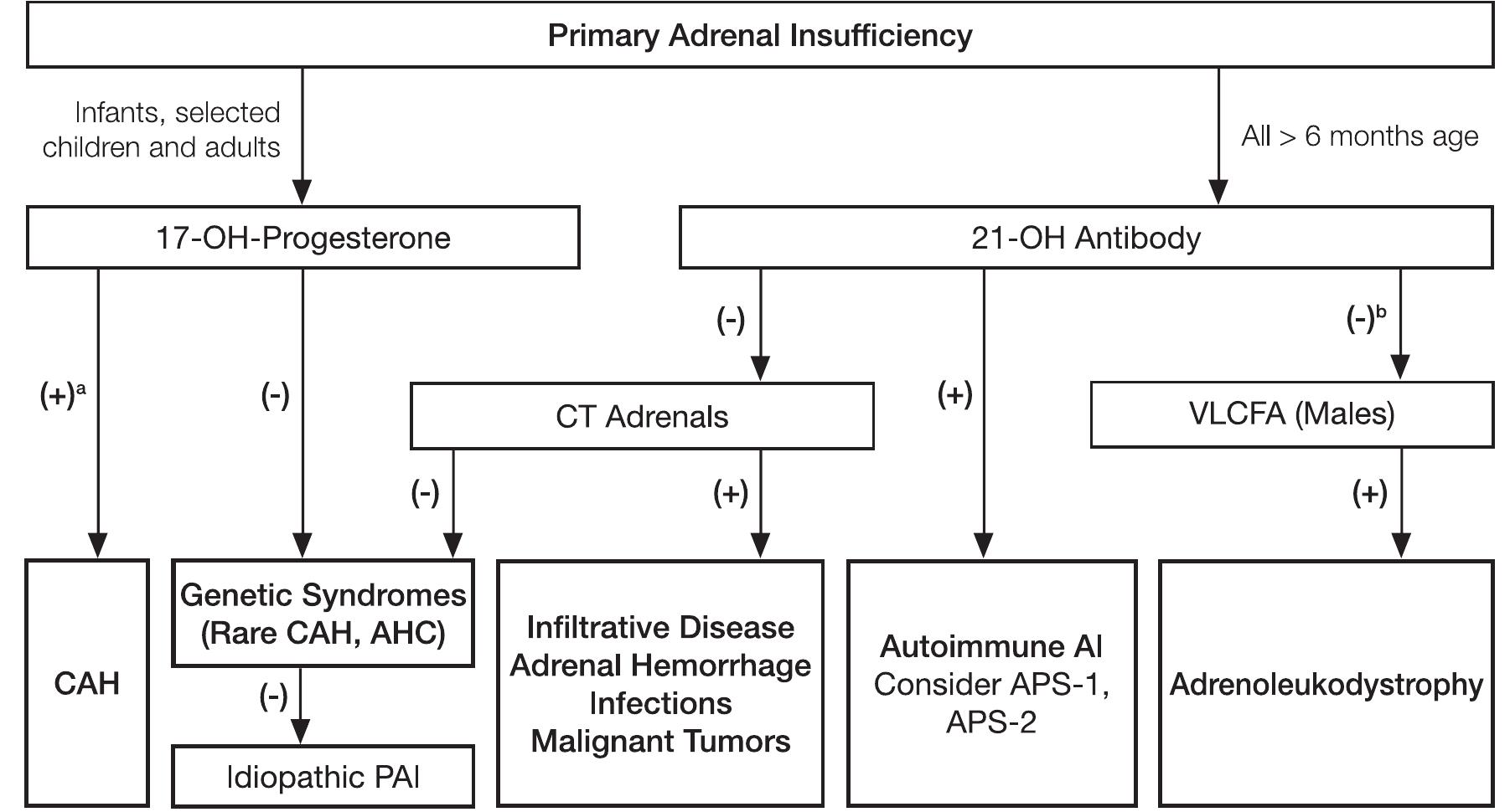 Algorithm for the diagnostic approach to the patient with