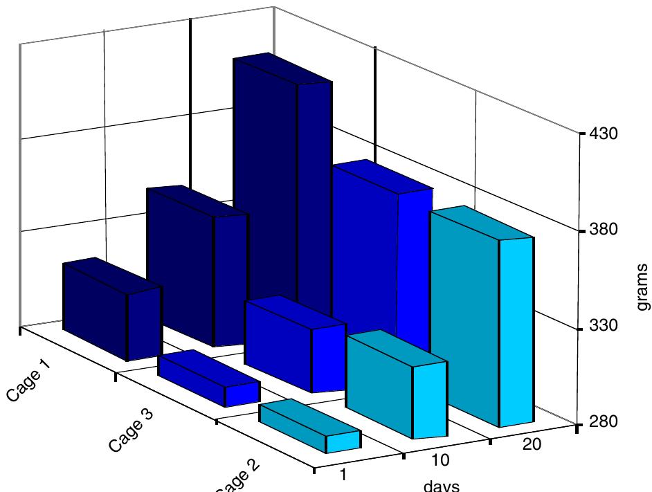 Figure 3 - from Description of mud crab (Scylla spp.)