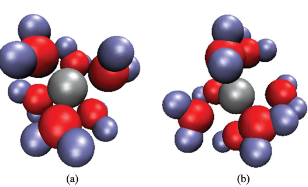 The snapshots of water molecules ion-water cluster (a)