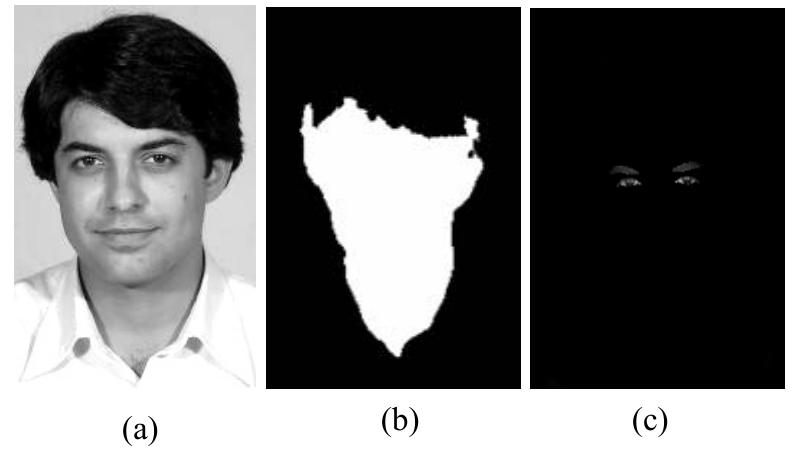 (a) an example of face image, (b) skin map image, (c) eye