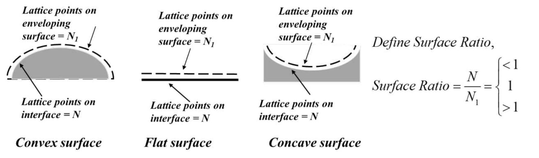 $1: schematic describing how to calculate the surface ratio.
