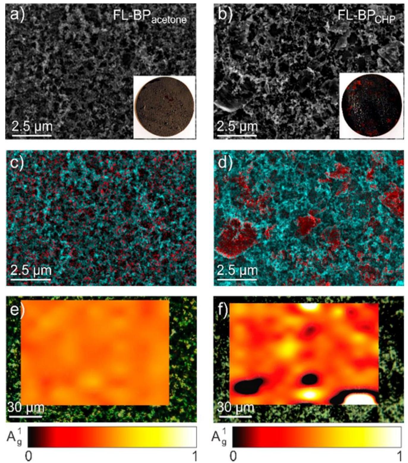 Scanning electron microscopy images of electrodes made of