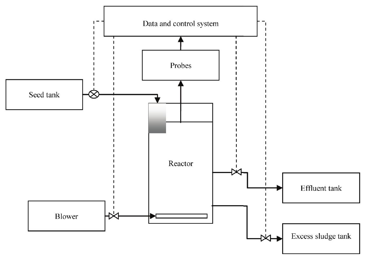 The general schematic view of sbr pilot results were used