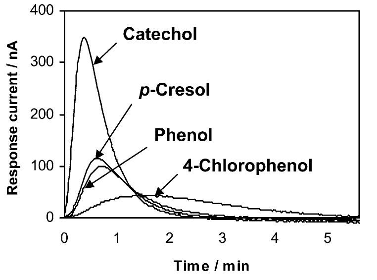 Flow injection peak shapes for four different phenolic