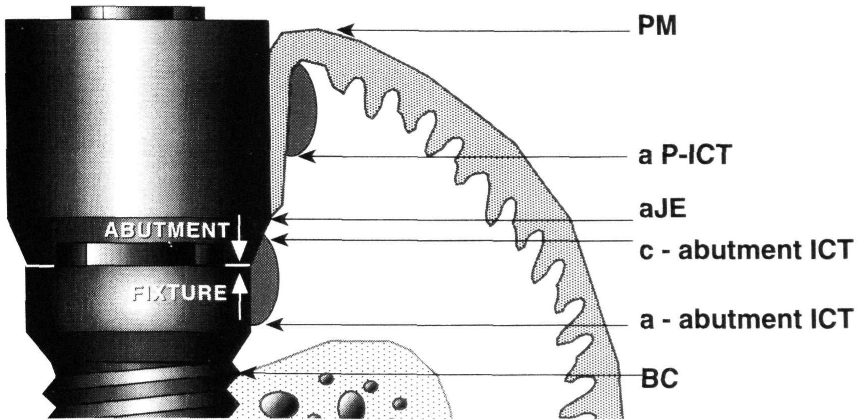 Schematic drawing illustrating the landmarks which were used