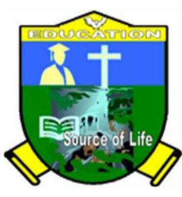 Department of computer science ruaha catholic university