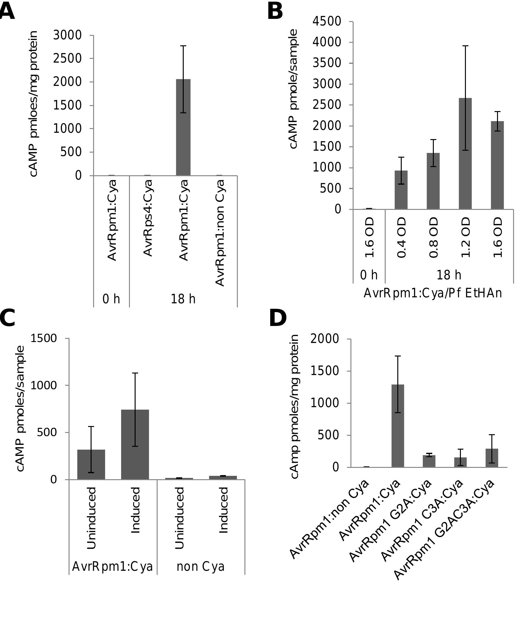 Figure 4 - A Bacterial Type III Secretion Assay for Delivery