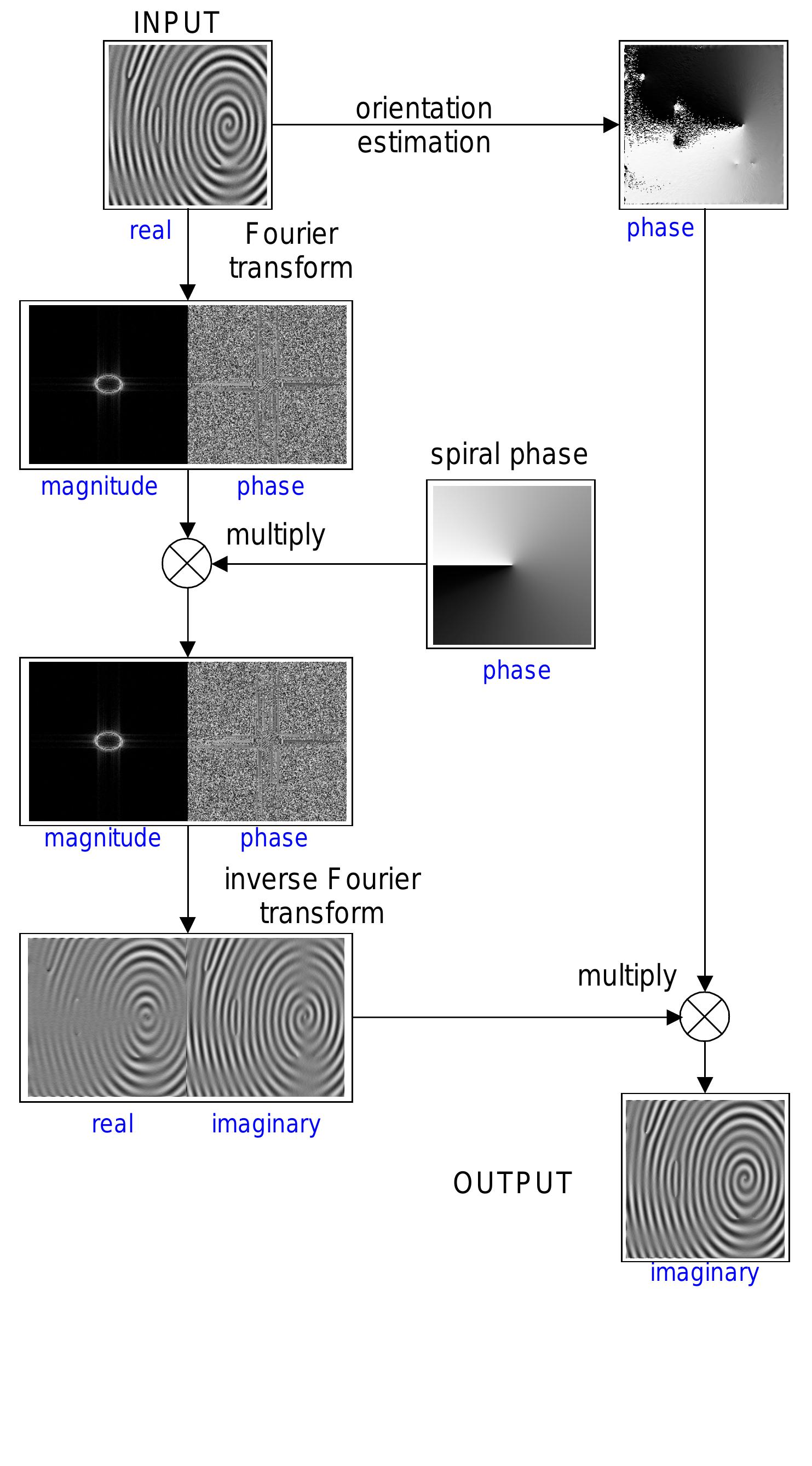 Figure 4 - Natural demodulation of two-dimensional fringe