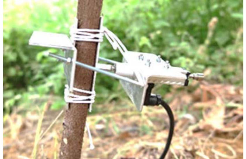 Dendrometer megatron (linear potentiometer, fixation