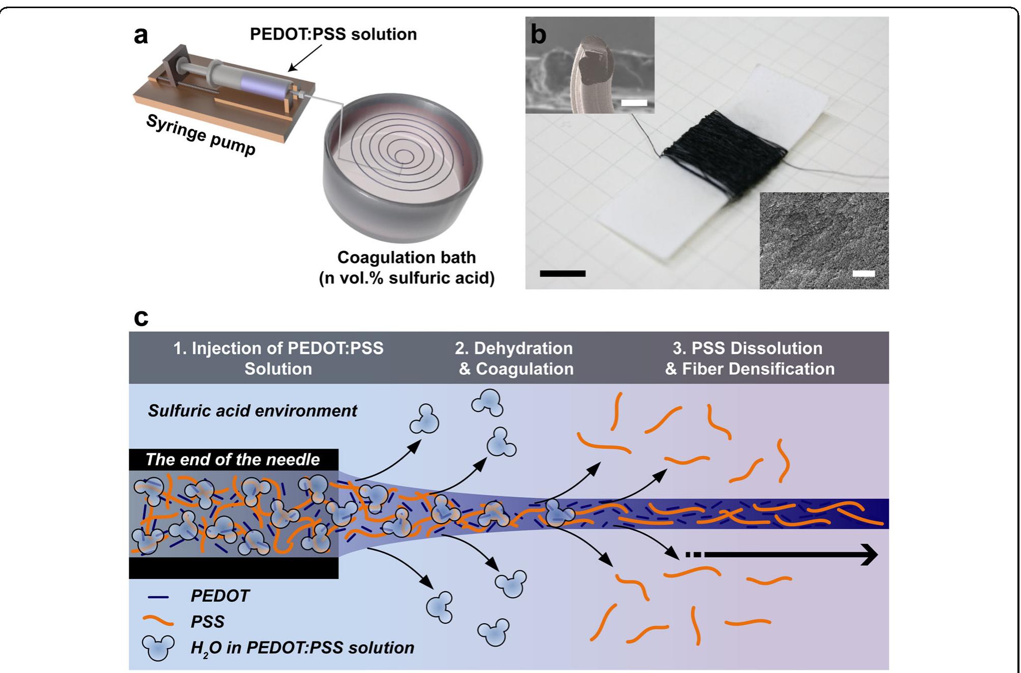 Spinning procedure and coagulation mechanism in a sulfuric