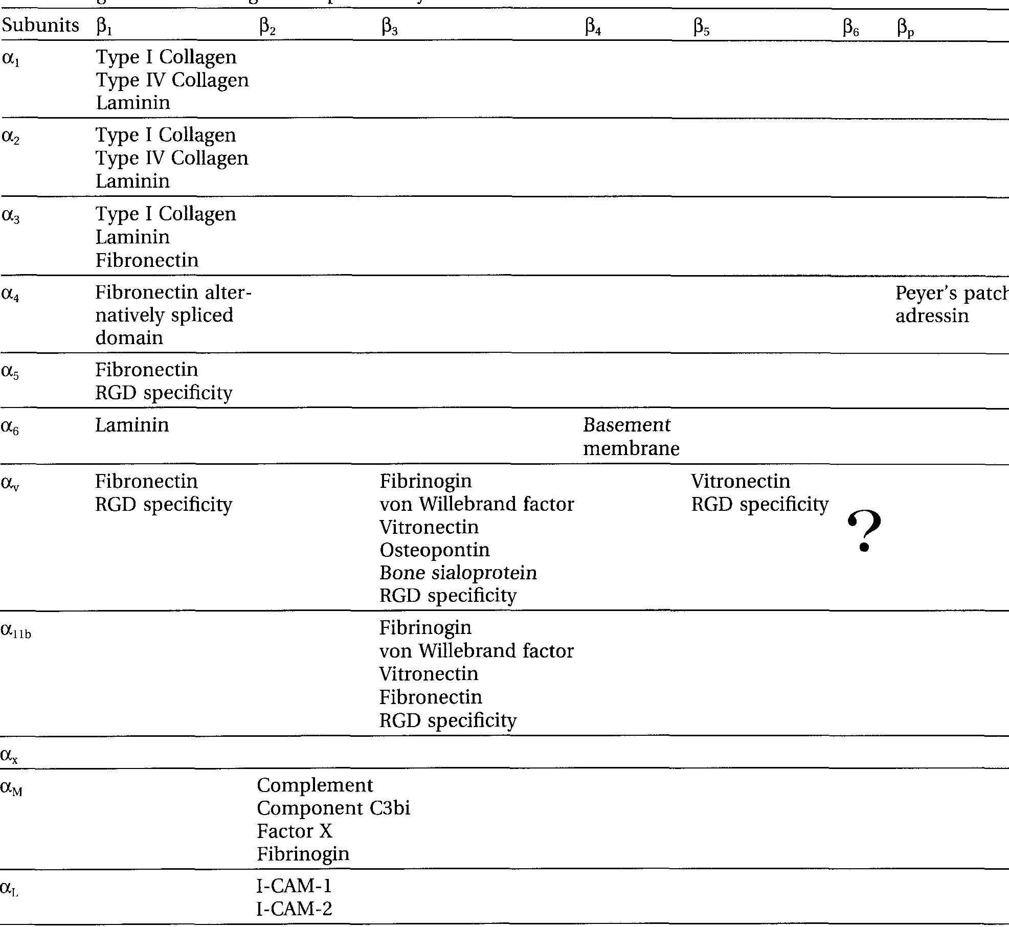 The extracellular matrix of the periodontium microfibrillar