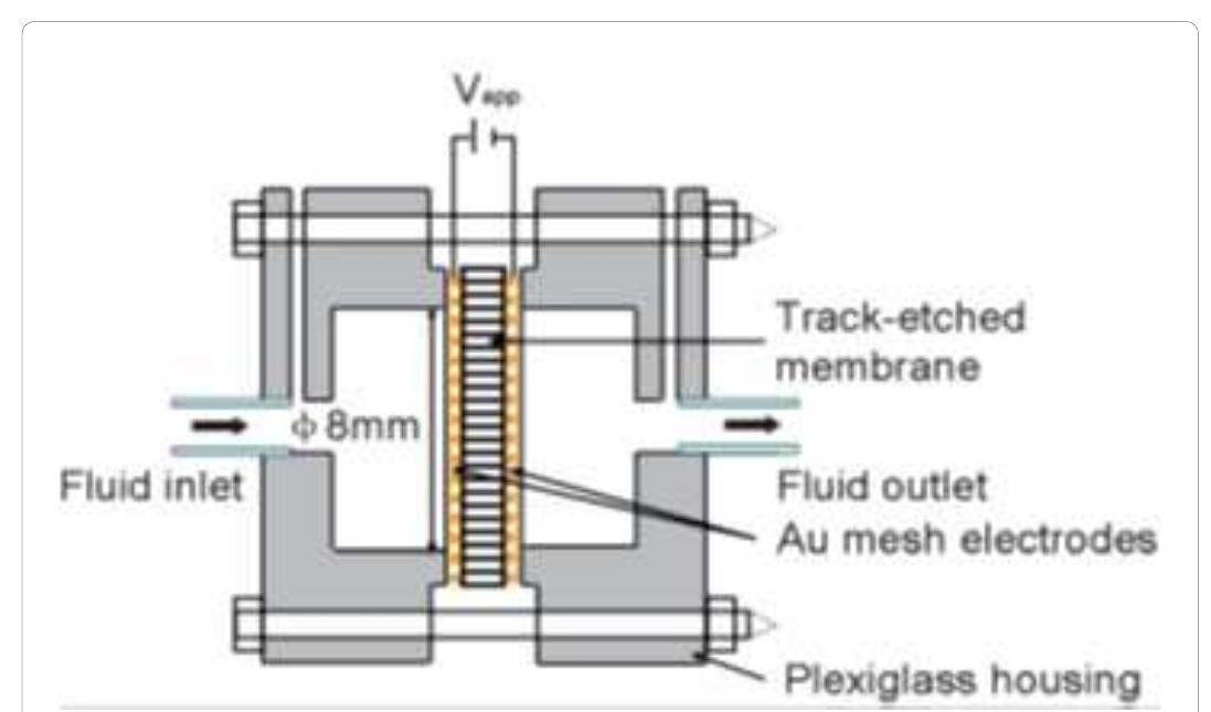Schematic of the eo pump fabricated from track-etched
