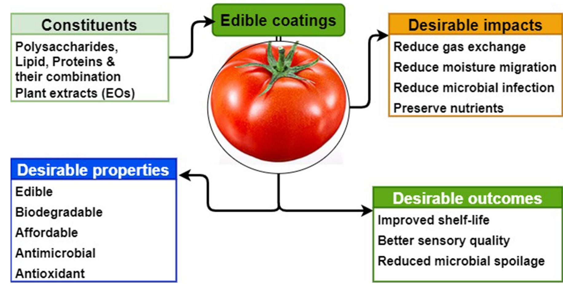 Edible coating and its working principles