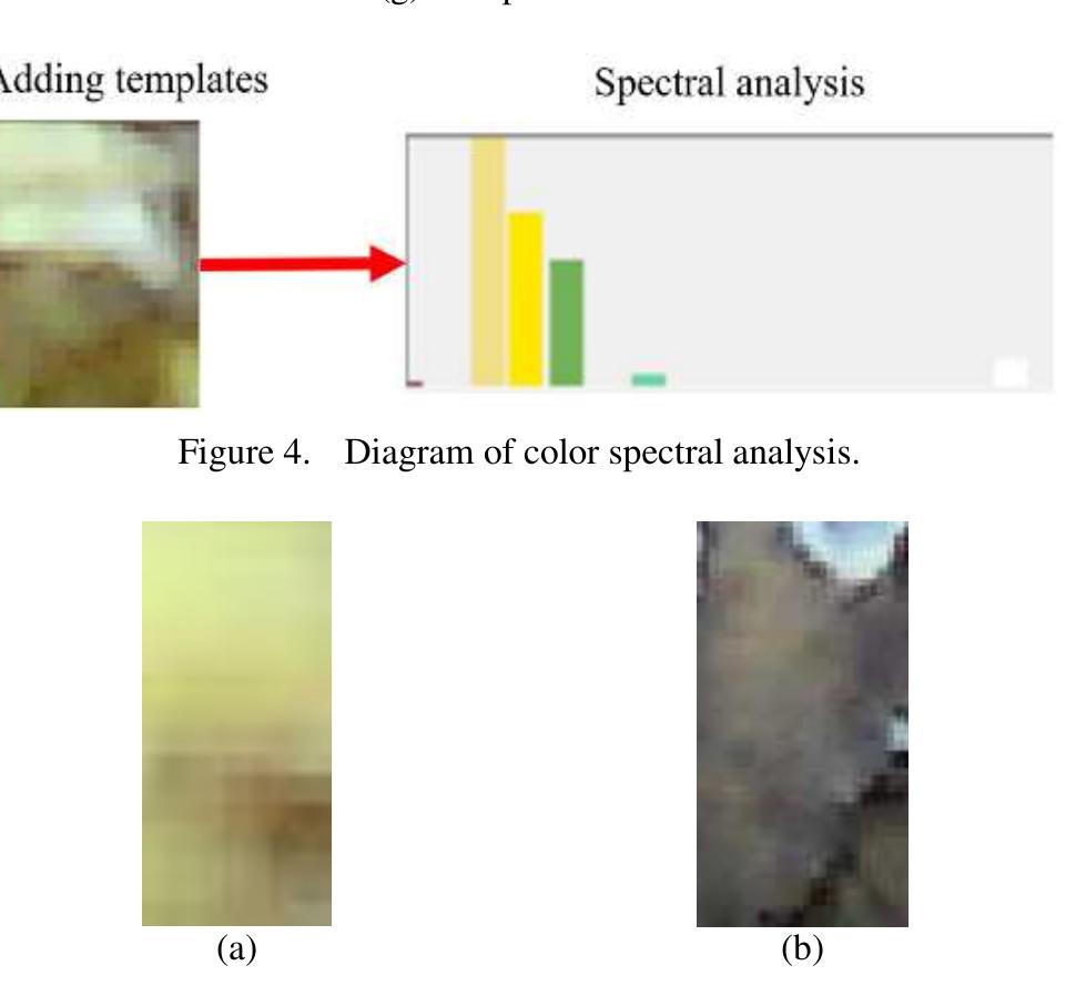 Sample of photo templates: a shade of a drab color (a) and
