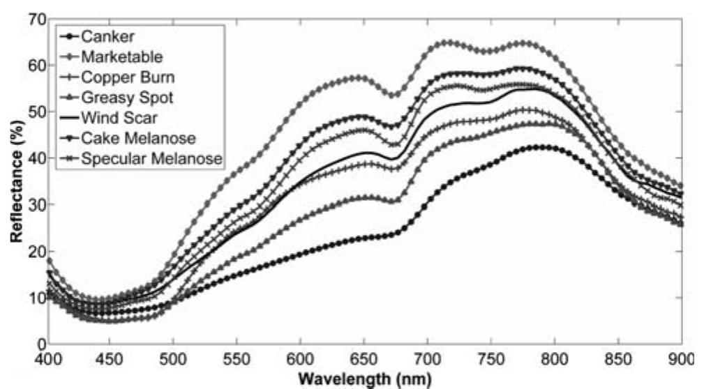 Reflectance spectra of grapefruit samples with normal and