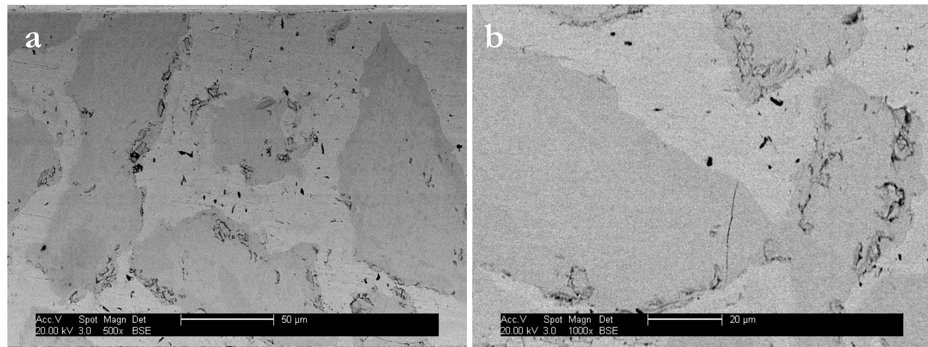 —bse micrographs showing microstructure of sample c2. (a)