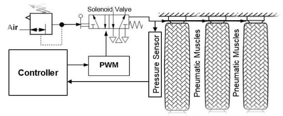 Pneumatic diagram of the experimental actuator the schematic