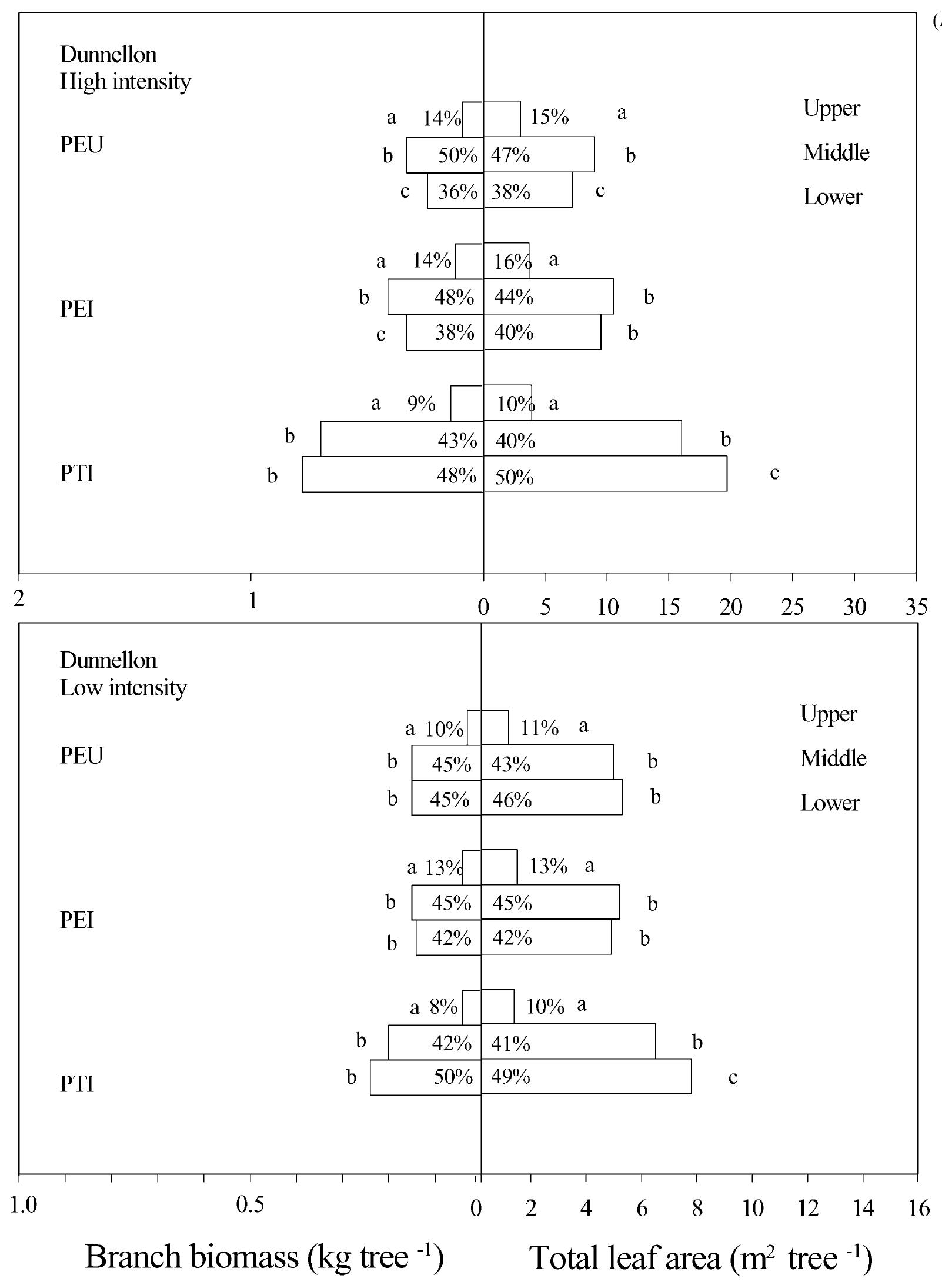 Vertical distribution of total leaf area (right) and branch