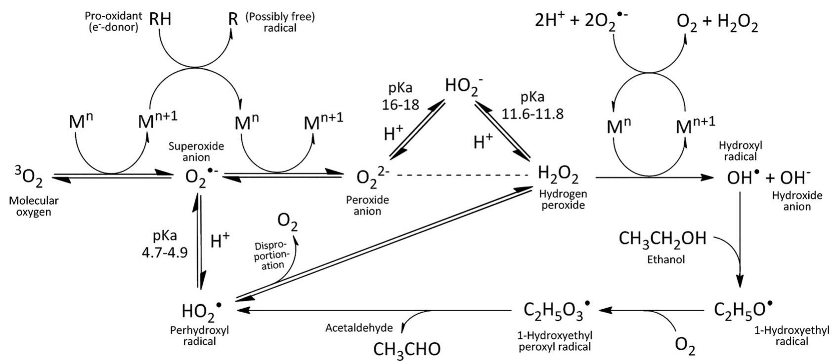 Fenton and haber-weiss reaction mechanism and the formation