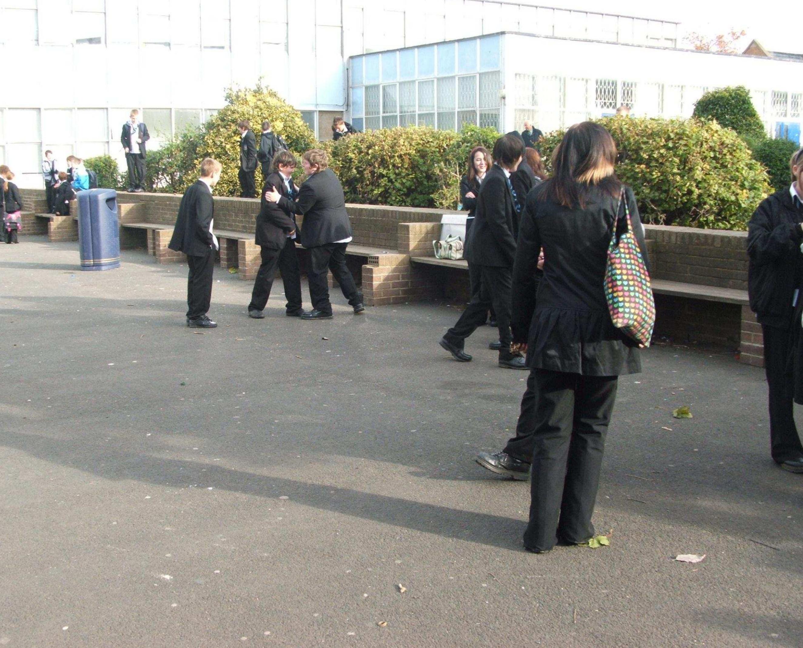 (PDF) Using Diamond Ranking activities as a visual methods research tool