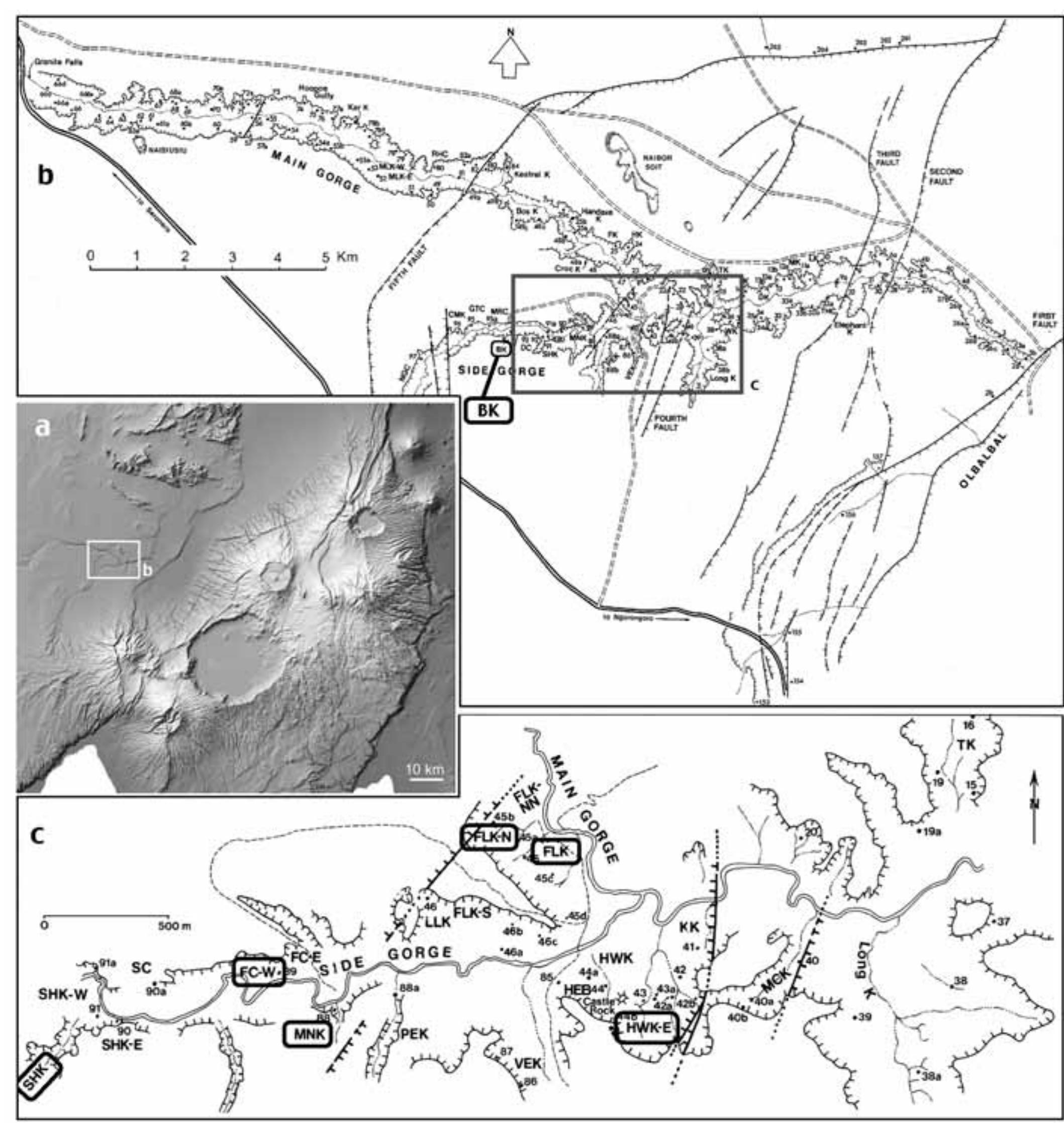 Figure 1 - from The first use of bone tools: a reappraisal
