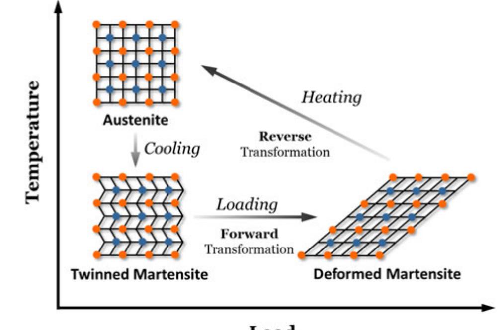 Principle of shape memory alloy (sma)