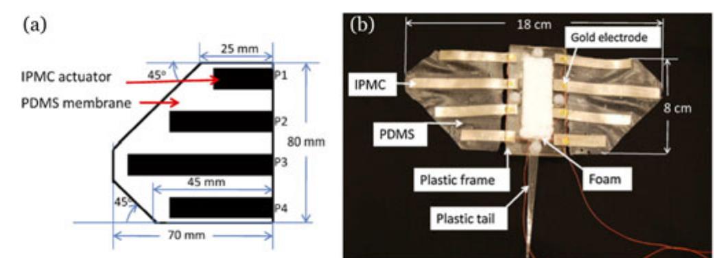 Robotic manta ray with mpa-u swimming mode using an ipmc: