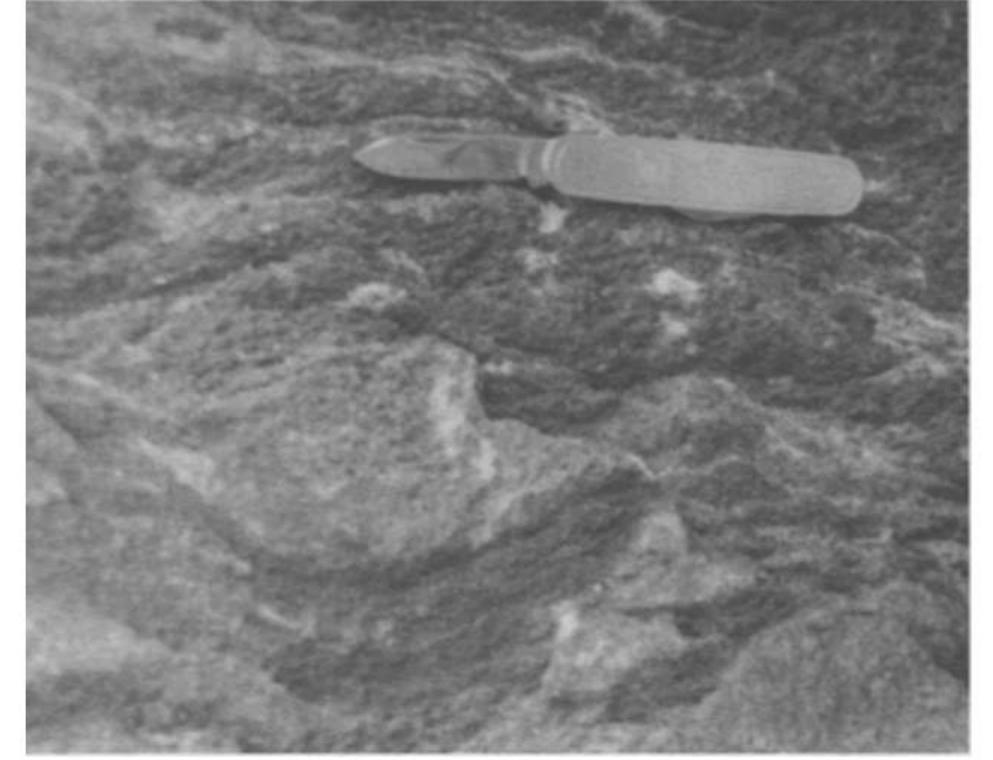 Figure 6 - The Lega Dembi gold mine: an example of shear