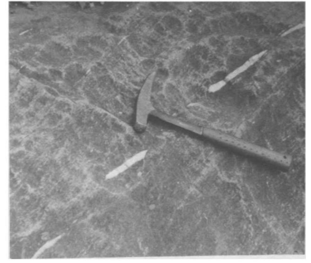 Figure 7 - The Lega Dembi gold mine: an example of shear