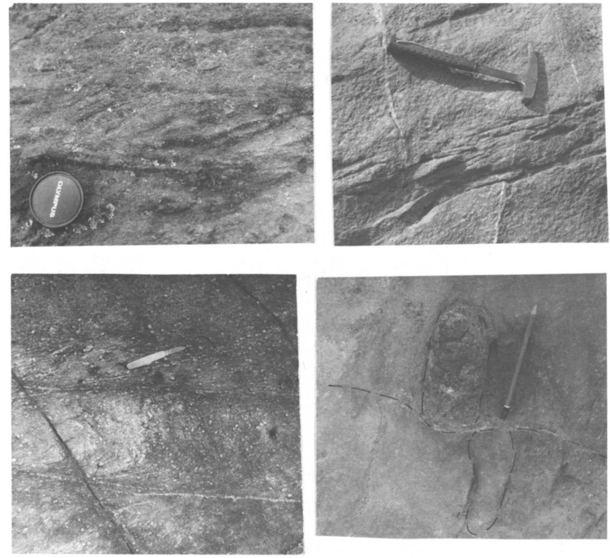 D, brittle to brittle-ductile shear zones (a) dextral shear
